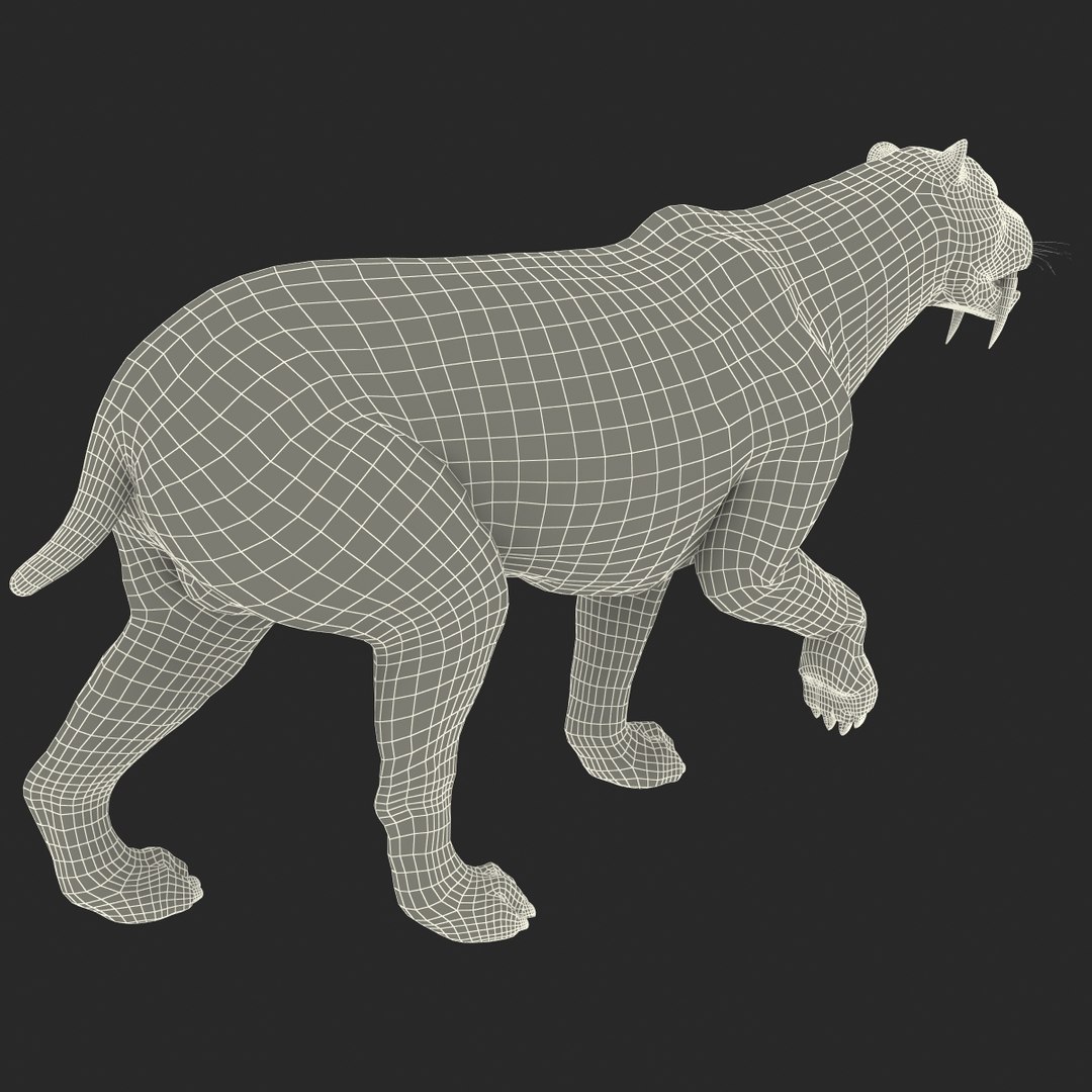 Smilodon 2 Pose 1 3d Model