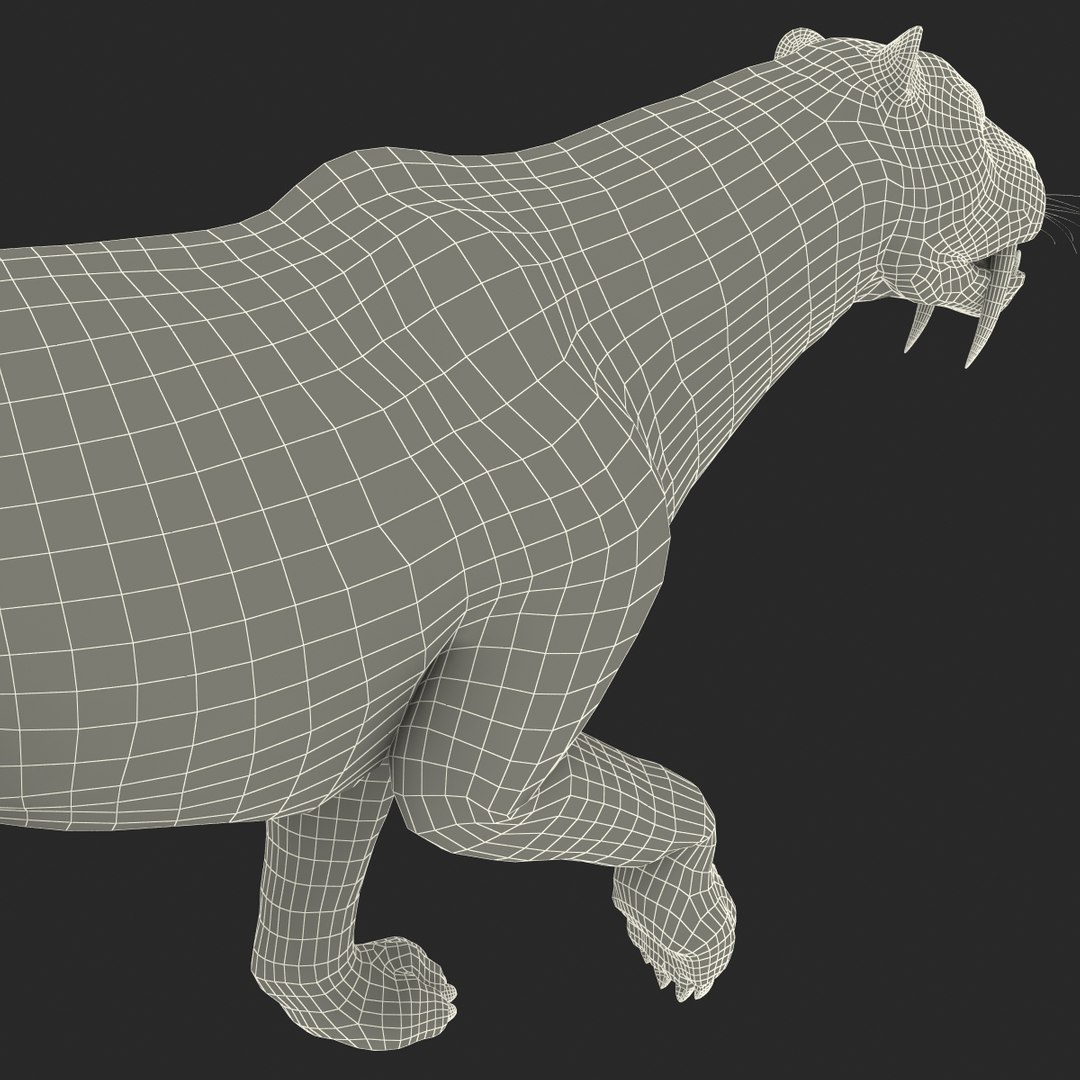 Smilodon 2 Pose 1 3d Model
