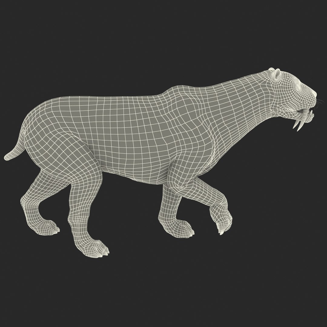 Smilodon 2 Pose 1 3d Model