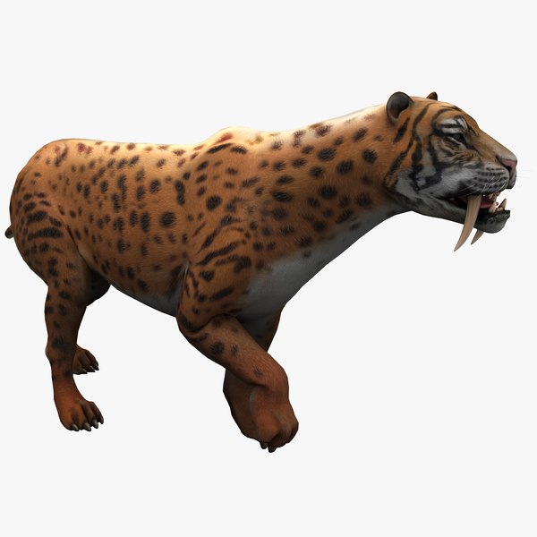 Smilodon 3D Models for Download | TurboSquid