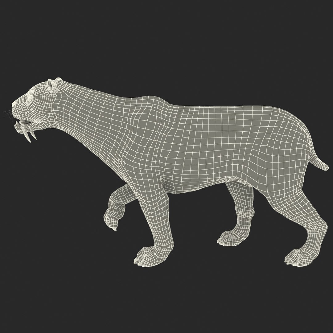 Smilodon 2 Pose 1 3d Model