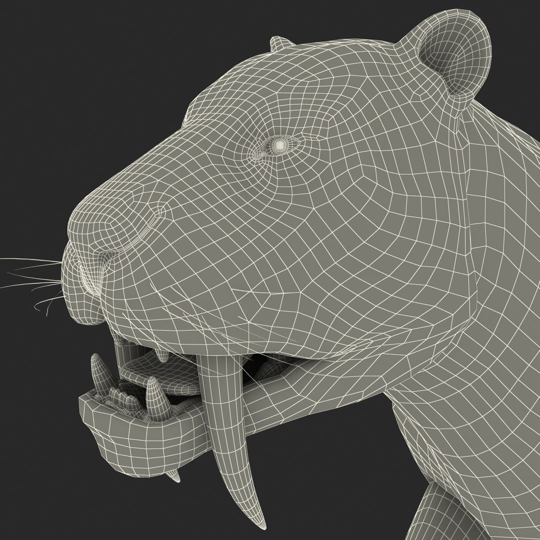 Smilodon 2 Pose 1 3d Model