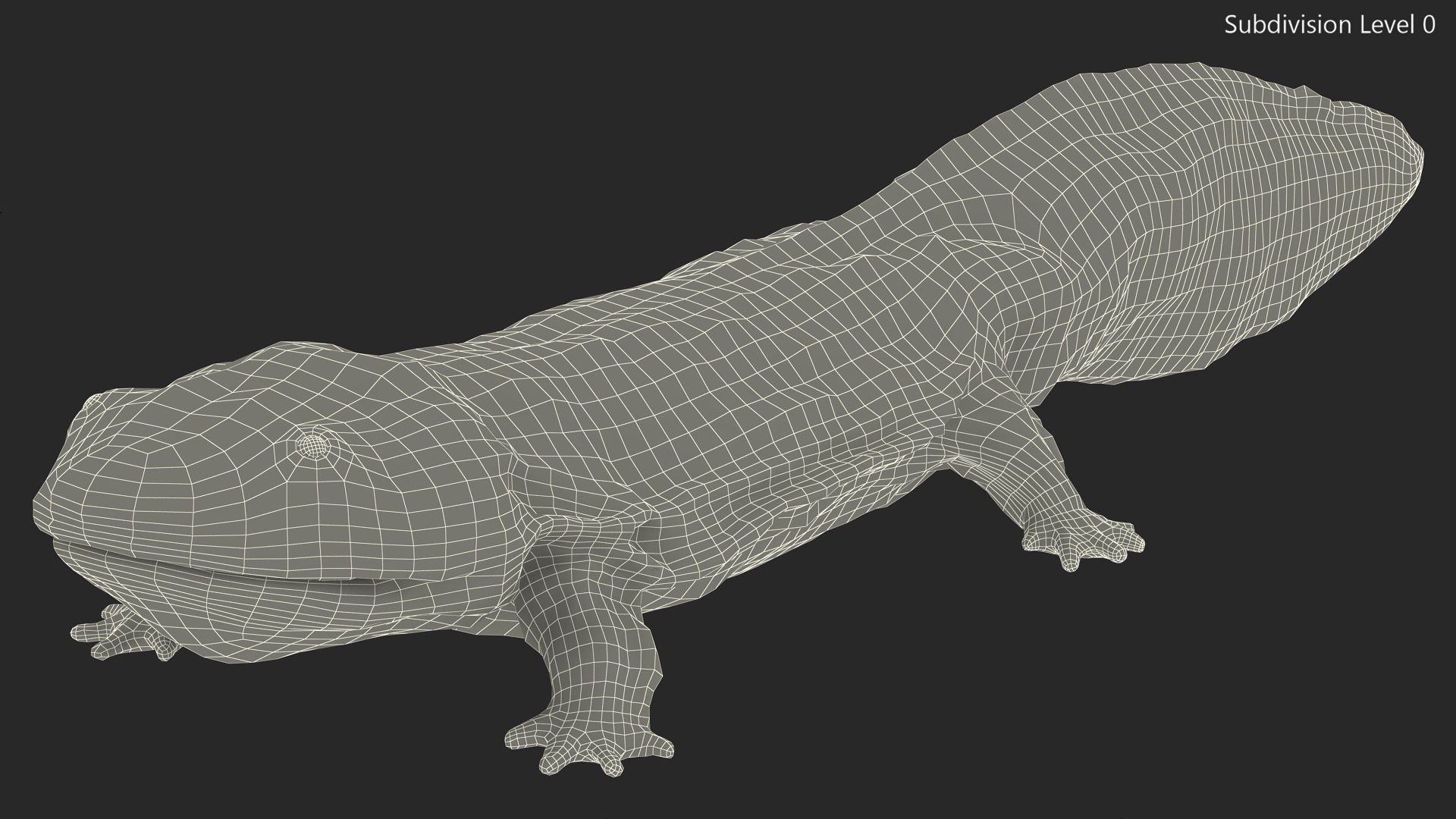 3D Aquatic Salamander Light Wet Rigged Model - TurboSquid 2241943