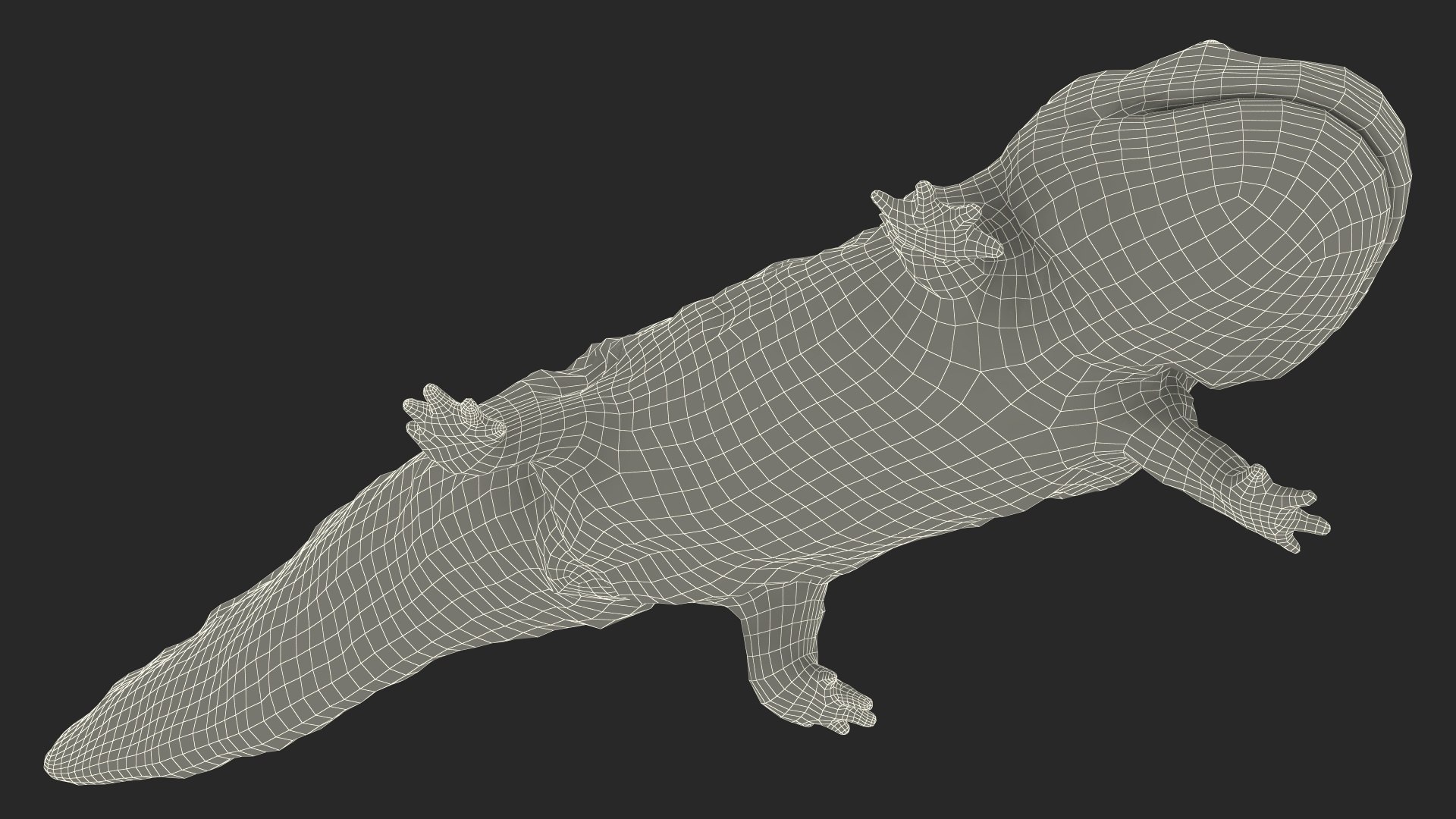 3D Aquatic Salamander Light Wet Rigged Model - TurboSquid 2241943