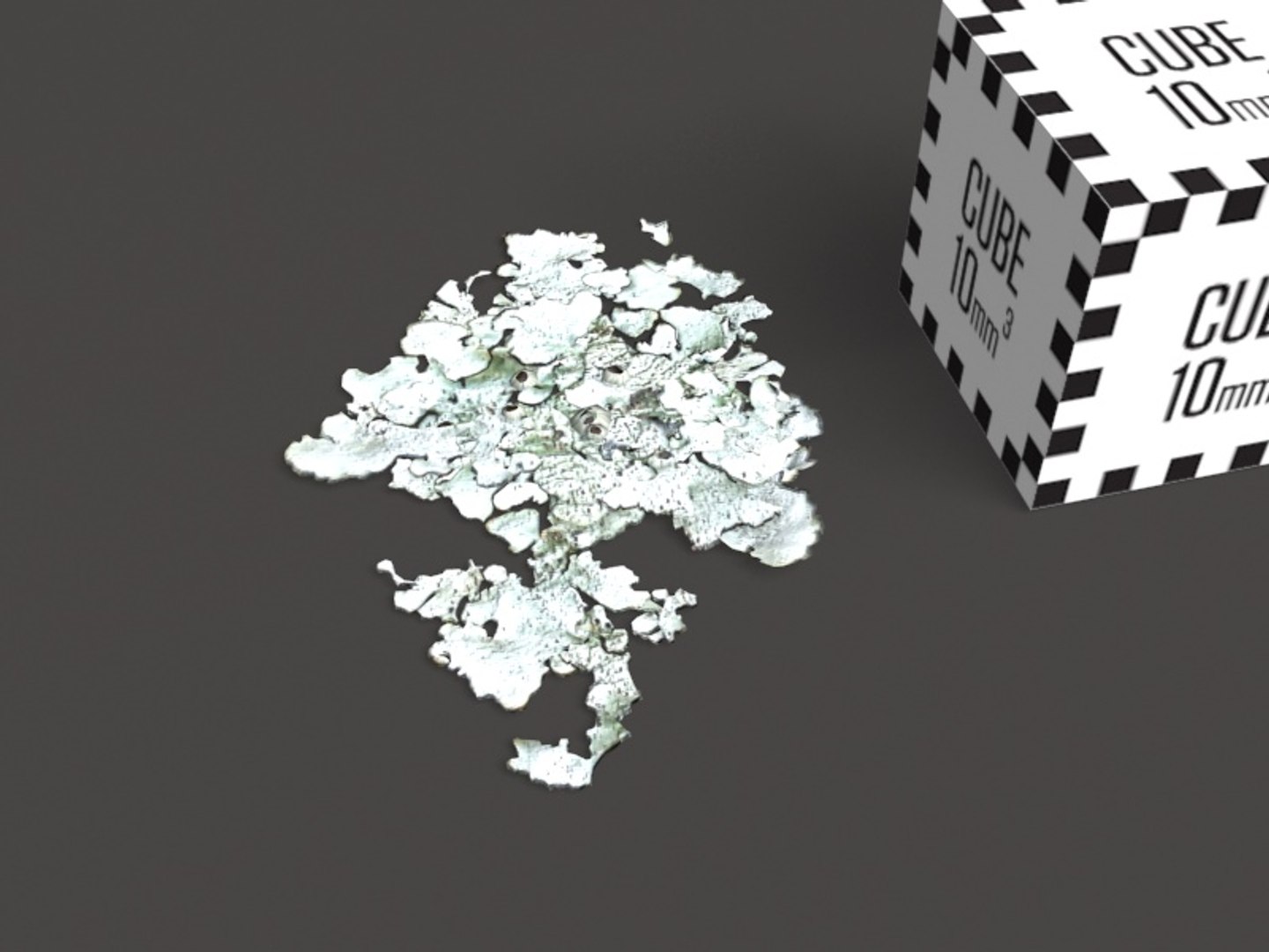 Lichen Set Type 01 3d Model