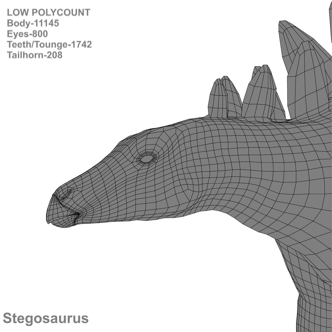 3d Stegosaurus