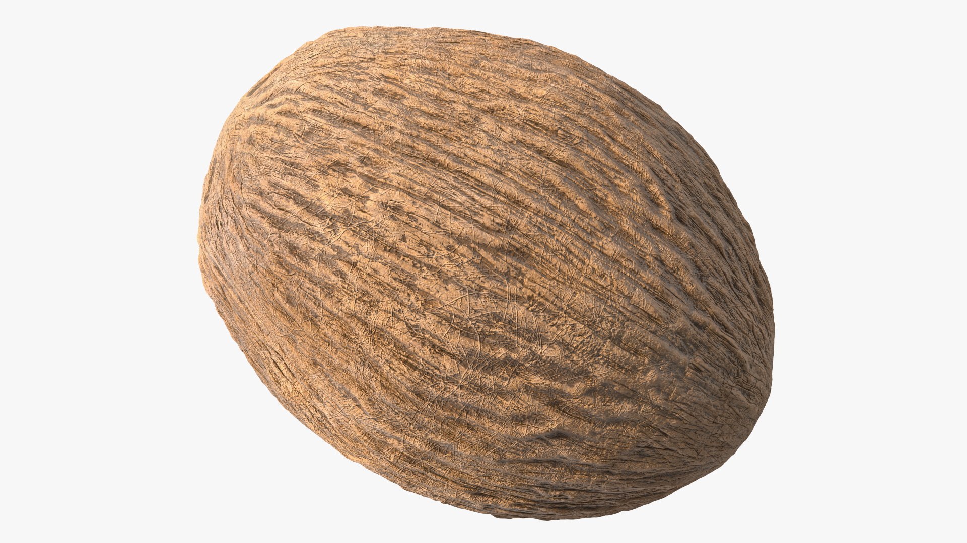 3D Coconut Model - TurboSquid 2396558