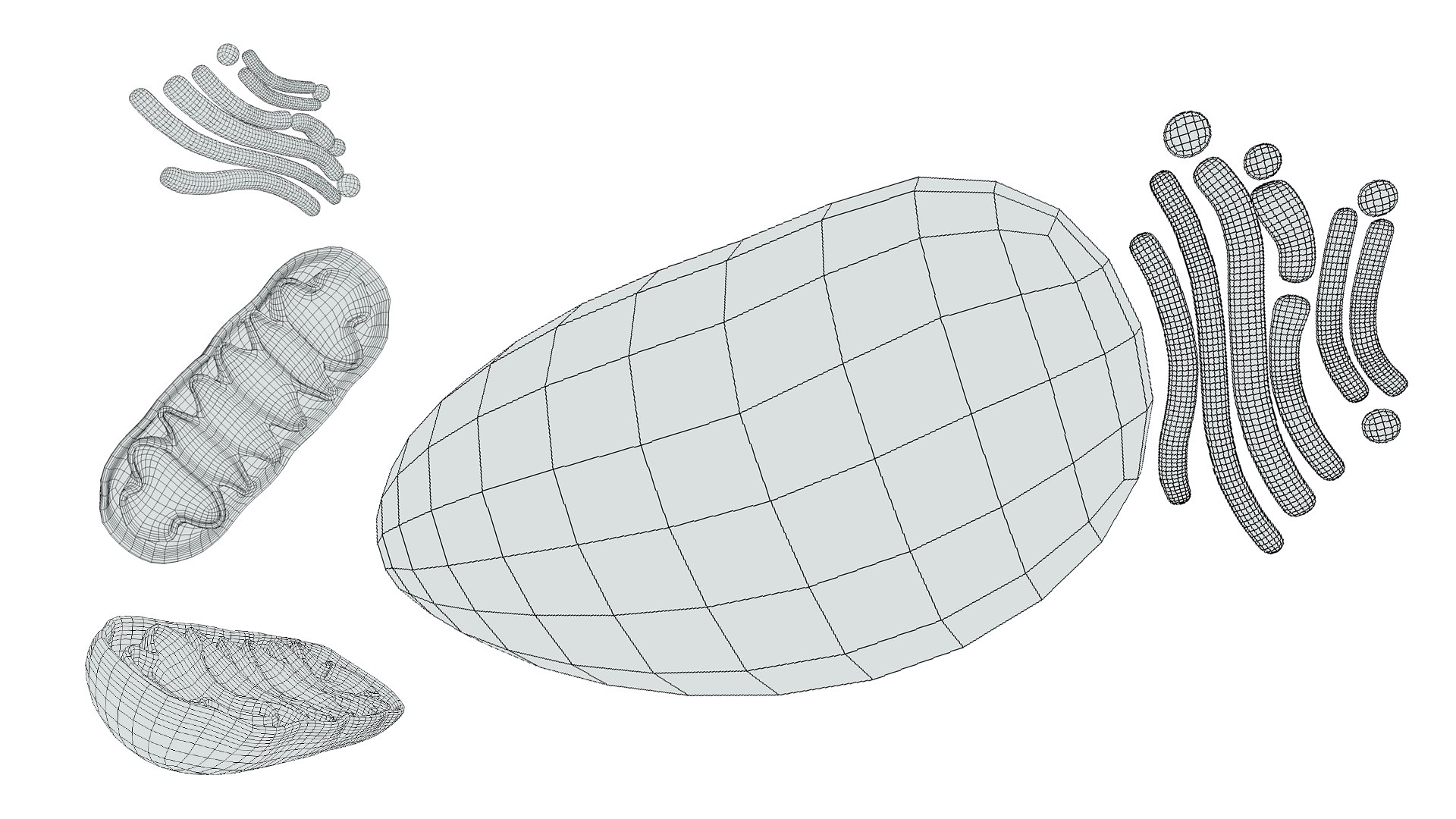 Osteocyte Bone Cell 3D Model - TurboSquid 2135529