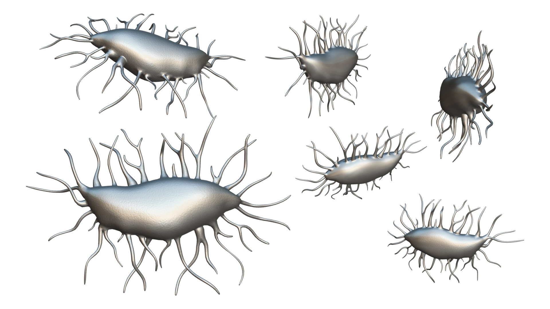 Osteocyte Bone Cell 3D Model - TurboSquid 2135529