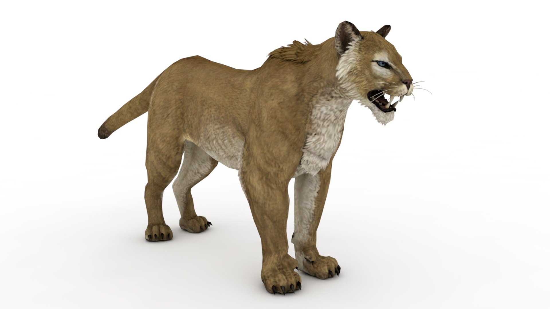 3D Lioness Model - TurboSquid 2010389
