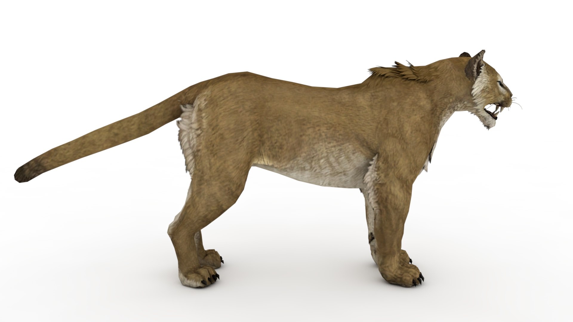 3D Lioness Model - TurboSquid 2010389