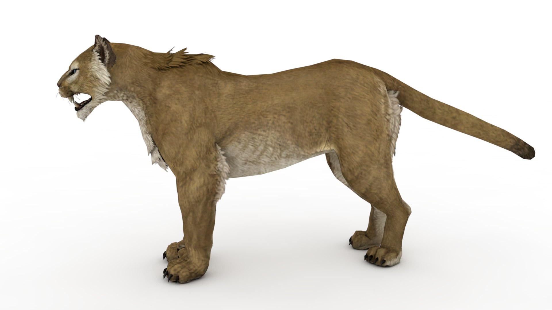 3D Lioness Model - TurboSquid 2010389