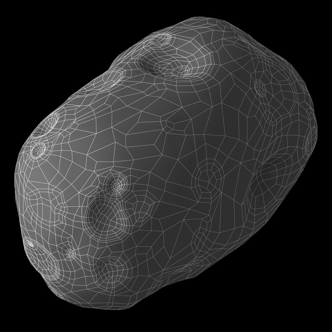 3d Asteroid Model
