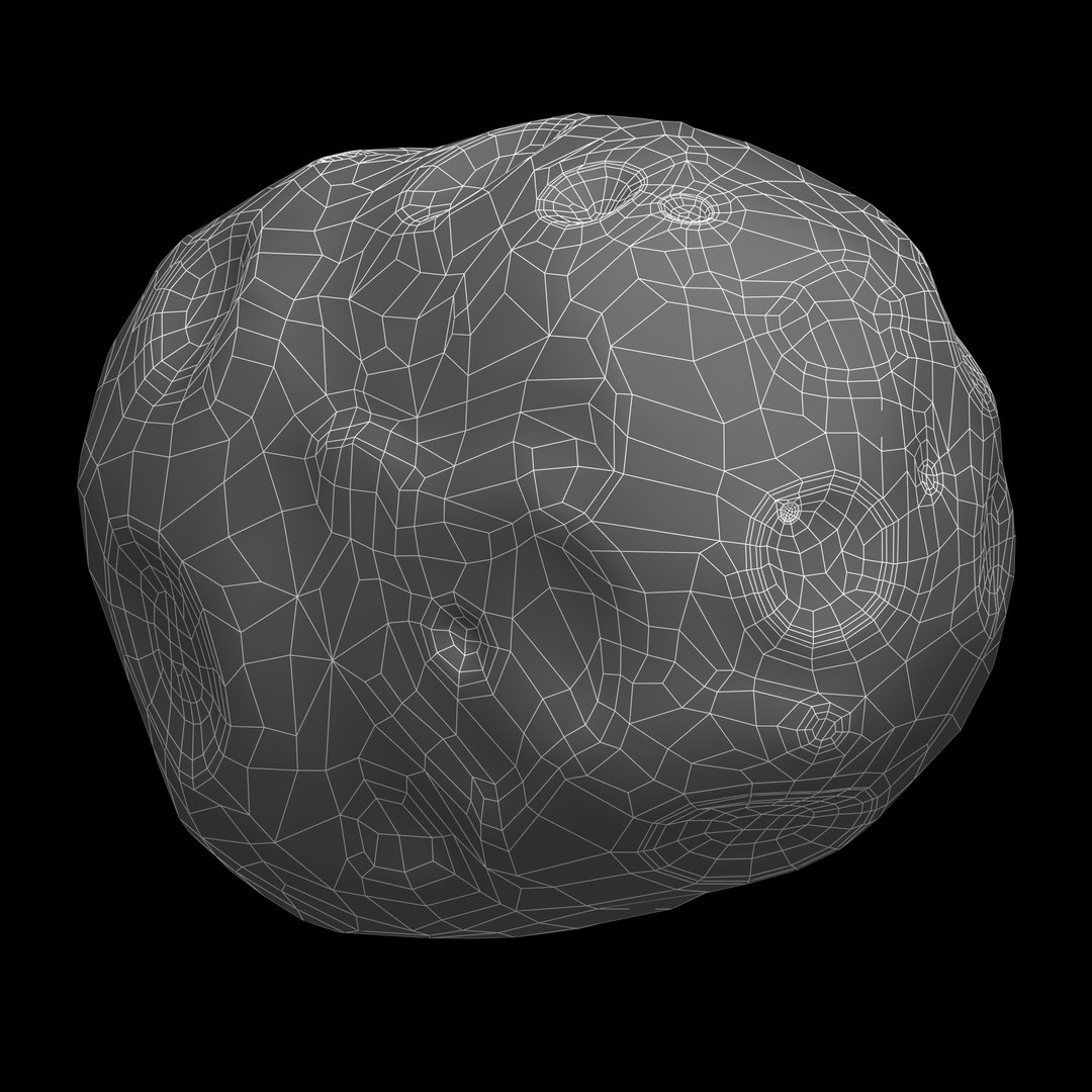 3d Asteroid Model