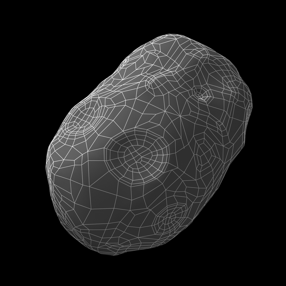 3d Asteroid Model