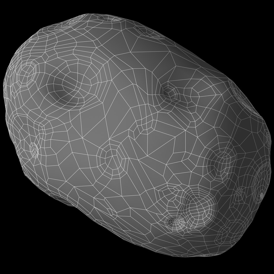 3d Asteroid Model