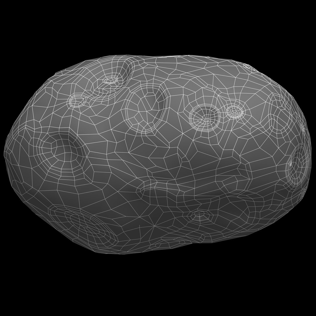 3d Asteroid Model