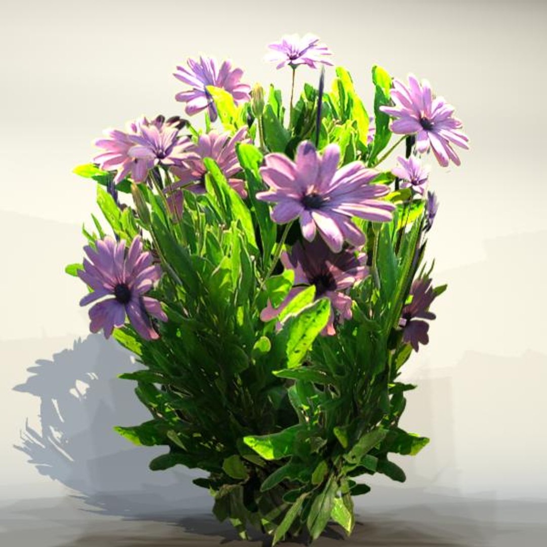 Pc Flower 3d Max