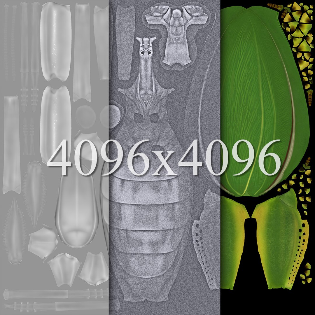 3d Mantis Religiosa 2