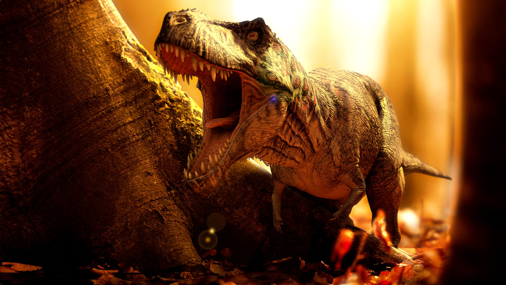 Scene Dinosaur Animation C4d