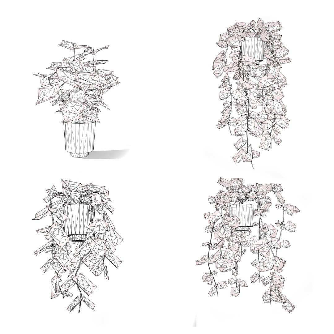 Hoya Hanging Planter 3D Model - TurboSquid 2206700