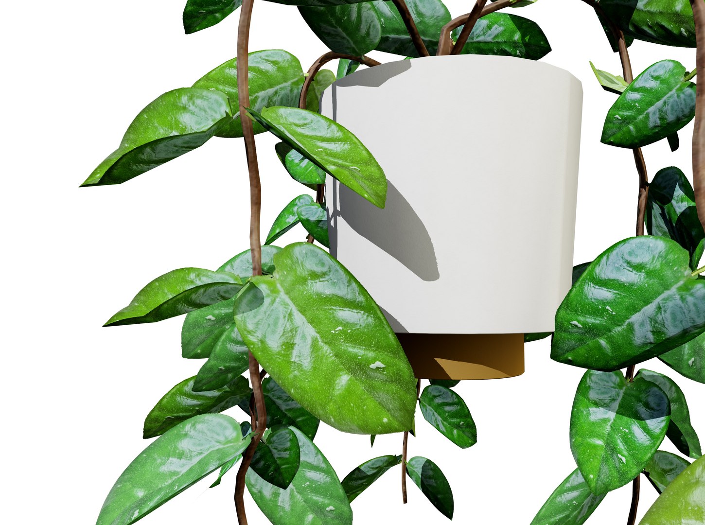 Hoya Hanging Planter 3D Model - TurboSquid 2206700