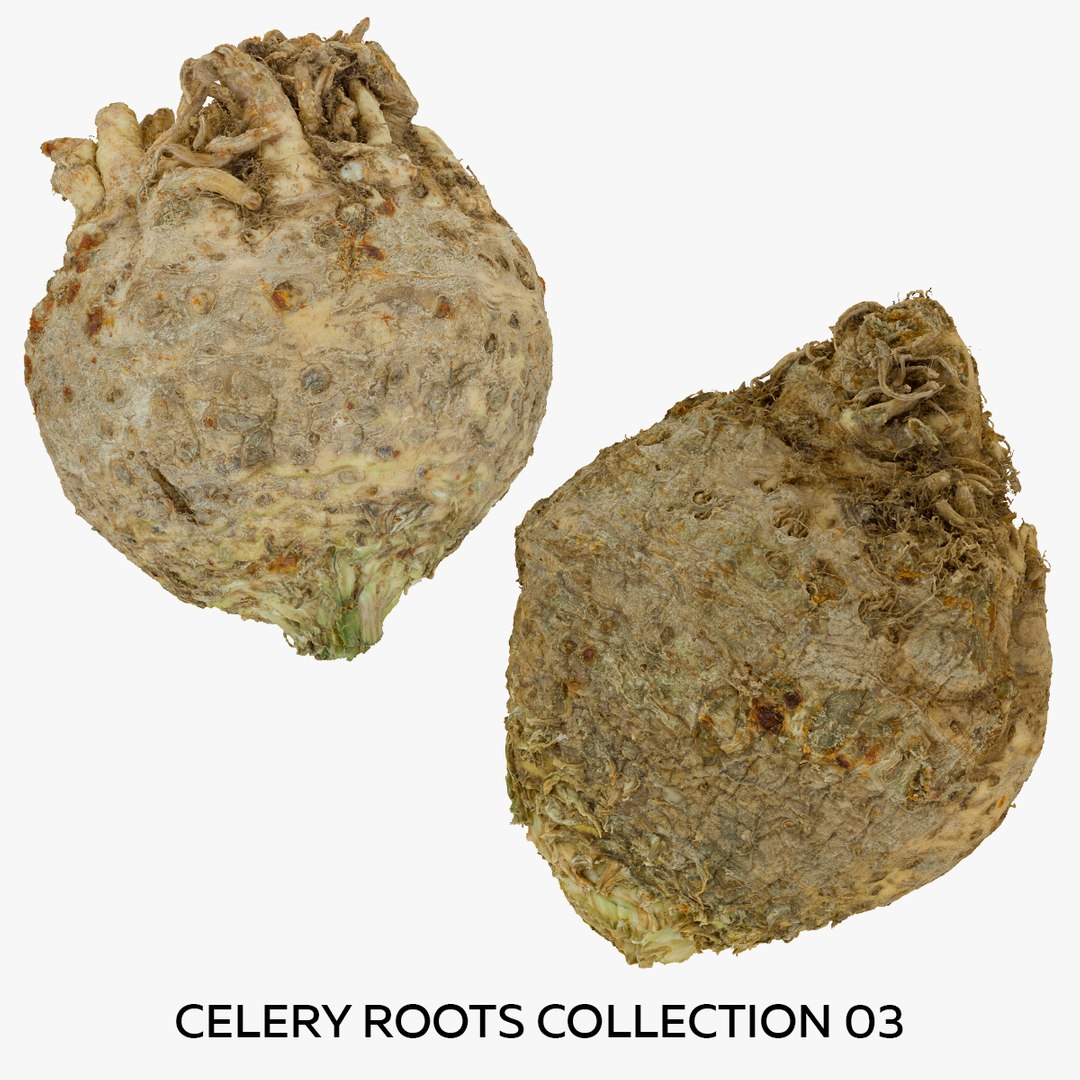 Celery Roots Collection 03 - 2 models RAW Scans 3D - TurboSquid 1836611
