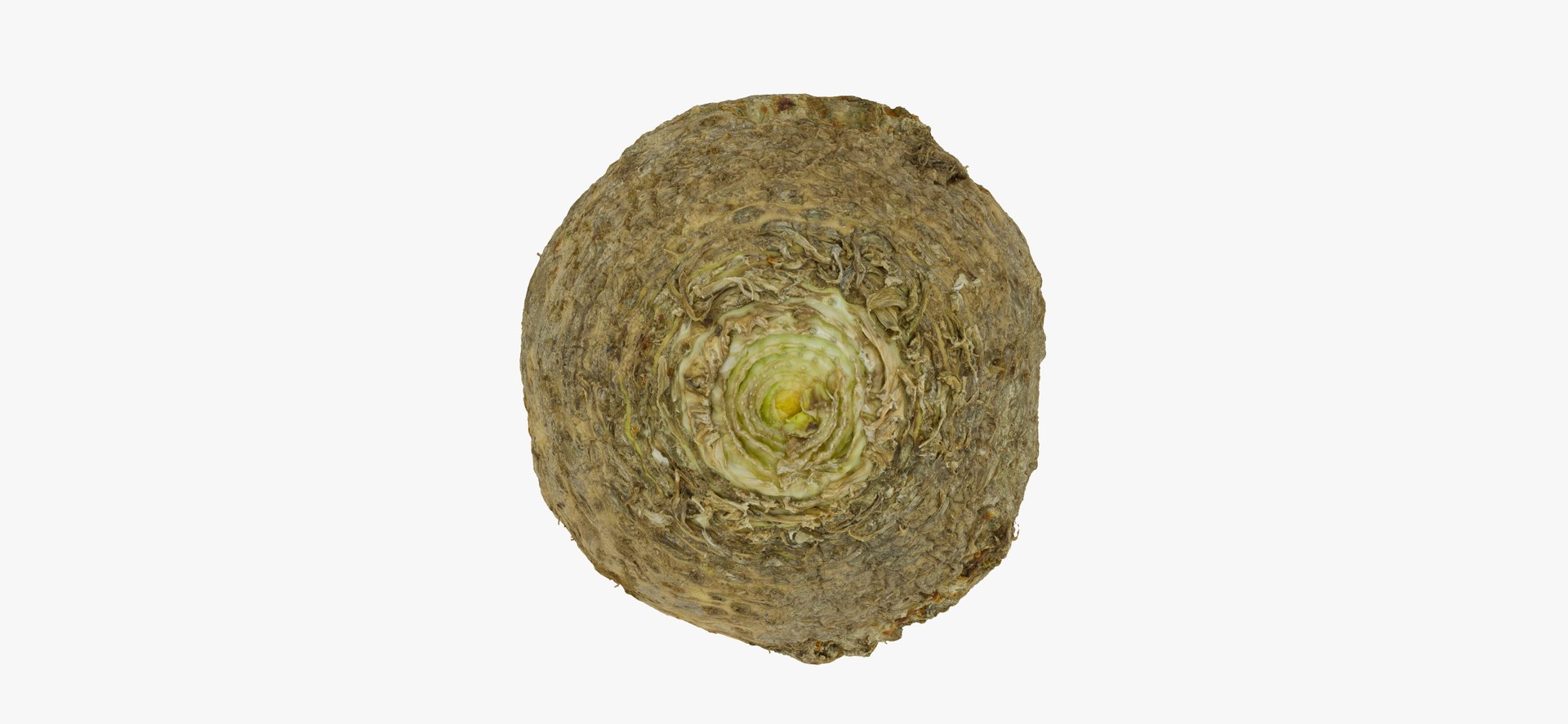 Celery Roots Collection 03 - 2 Models RAW Scans 3D - TurboSquid 1836611