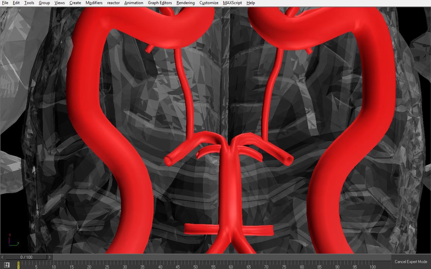Anatomy Head Neck Arms 3d 3ds