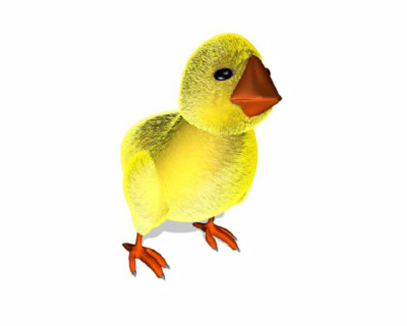 Cute Chicken 3d Model