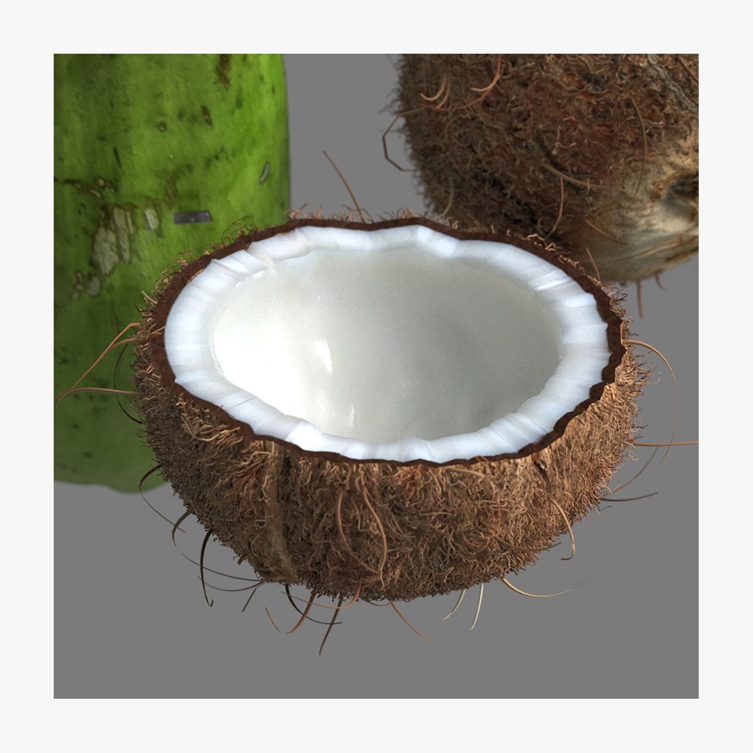 Coconut 3D Model - TurboSquid 1876958