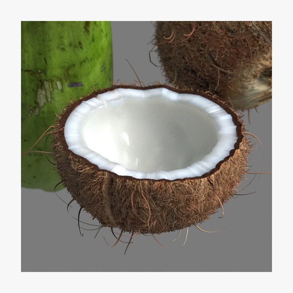 Coconut 3D model - TurboSquid 1876958