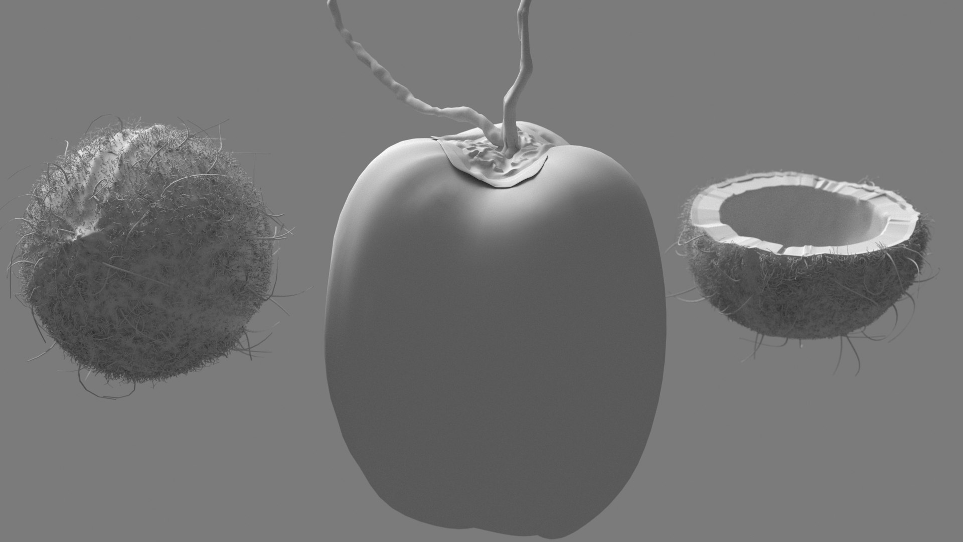 Coconut 3D Model - TurboSquid 1876958