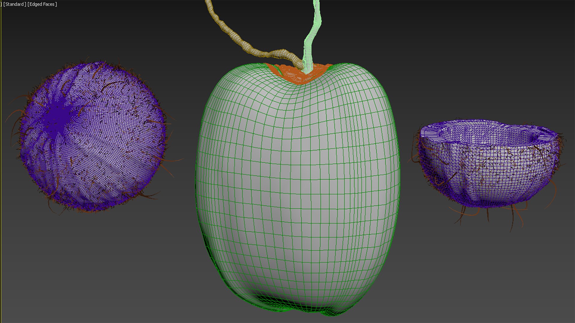 Coconut 3D Model - TurboSquid 1876958
