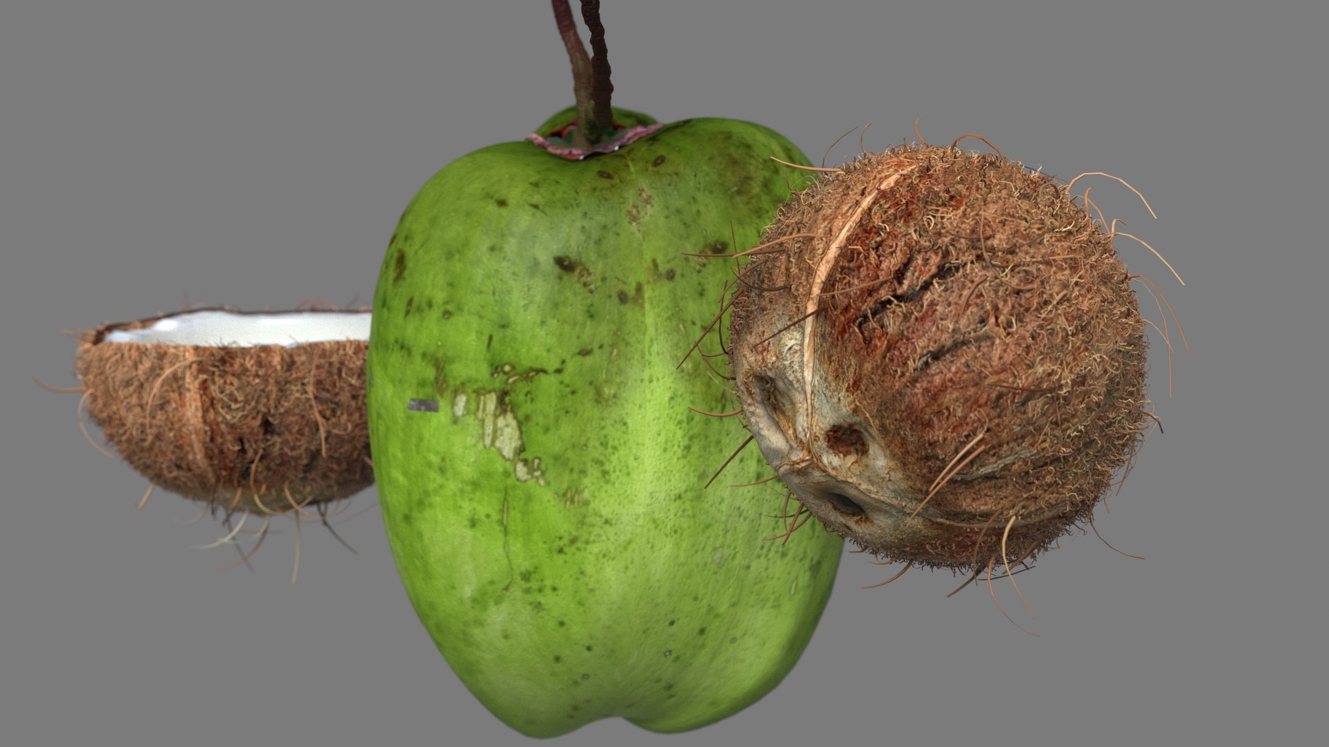 Coconut 3D Model - TurboSquid 1876958