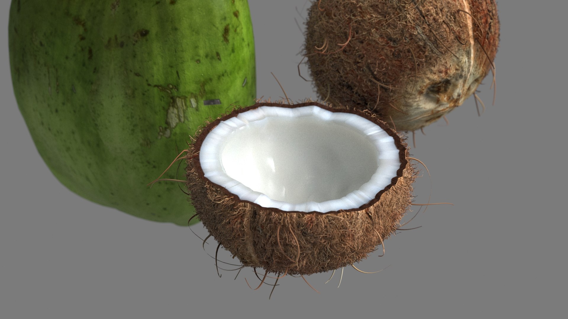 Coconut 3D Model - TurboSquid 1876958