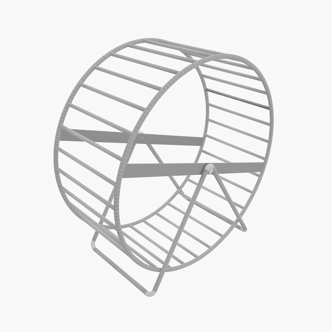 3D Model Hamster Wheel - TurboSquid 1336950