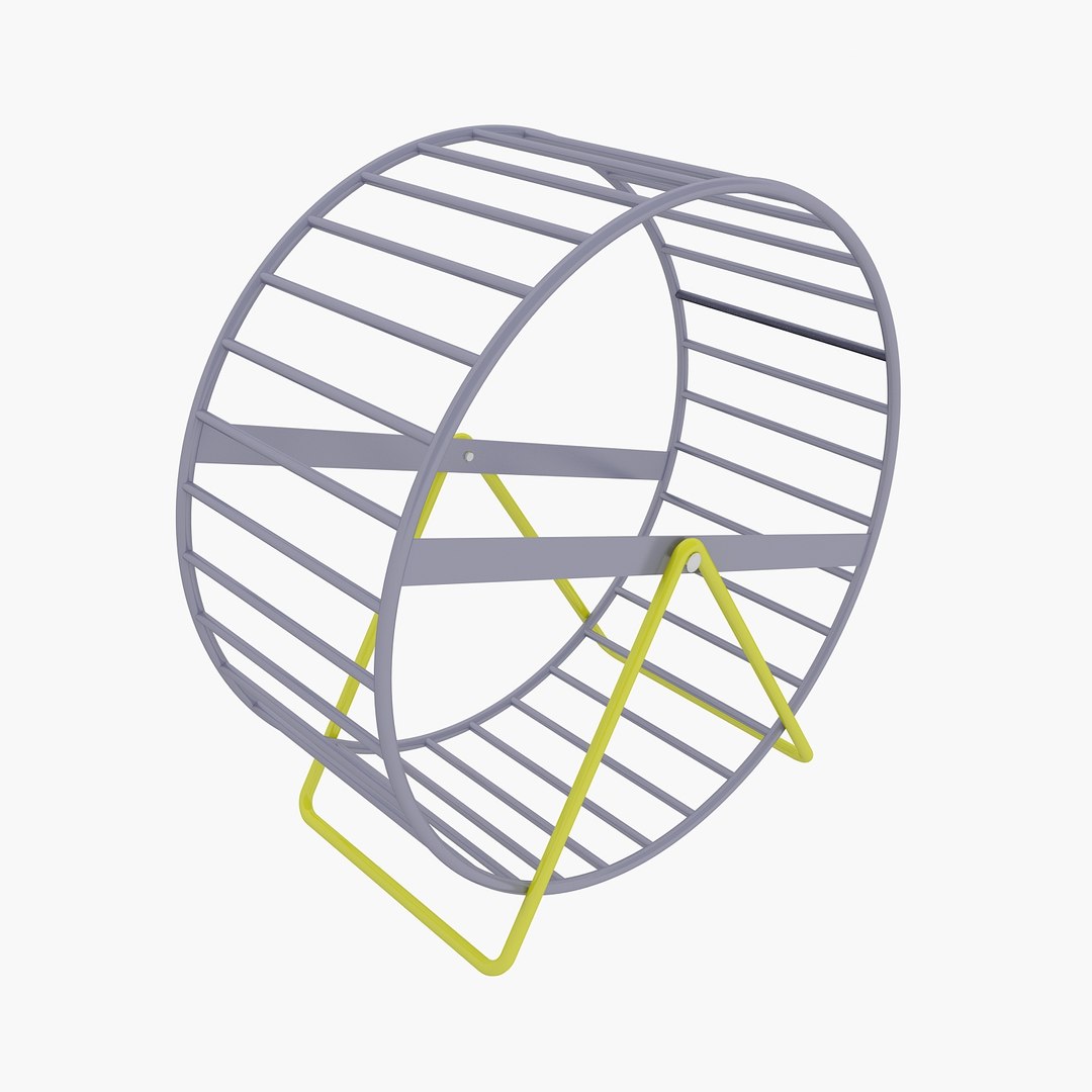 3D Model Hamster Wheel - TurboSquid 1336950