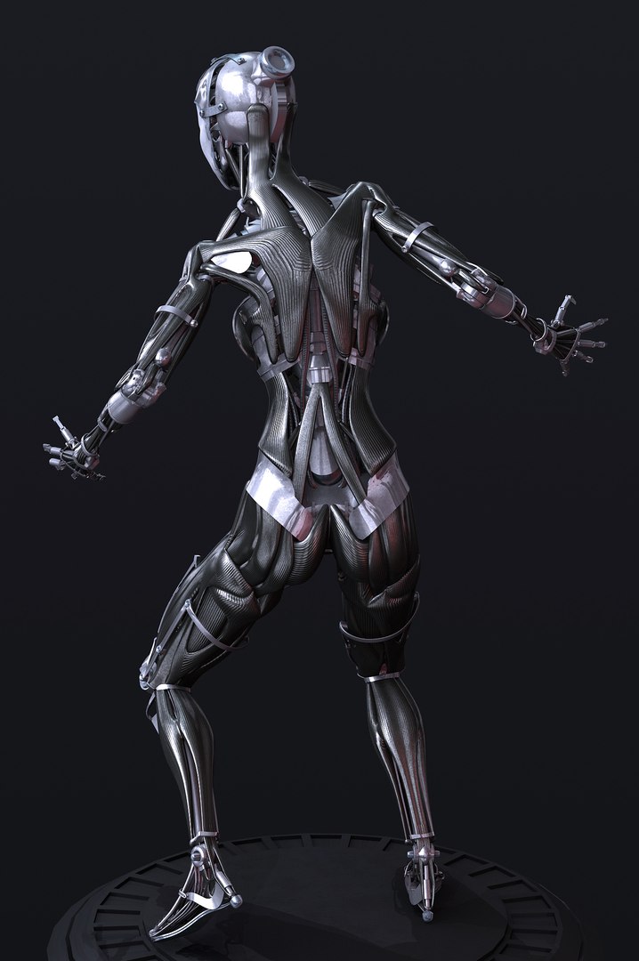 Robot Anatomical 3d Max