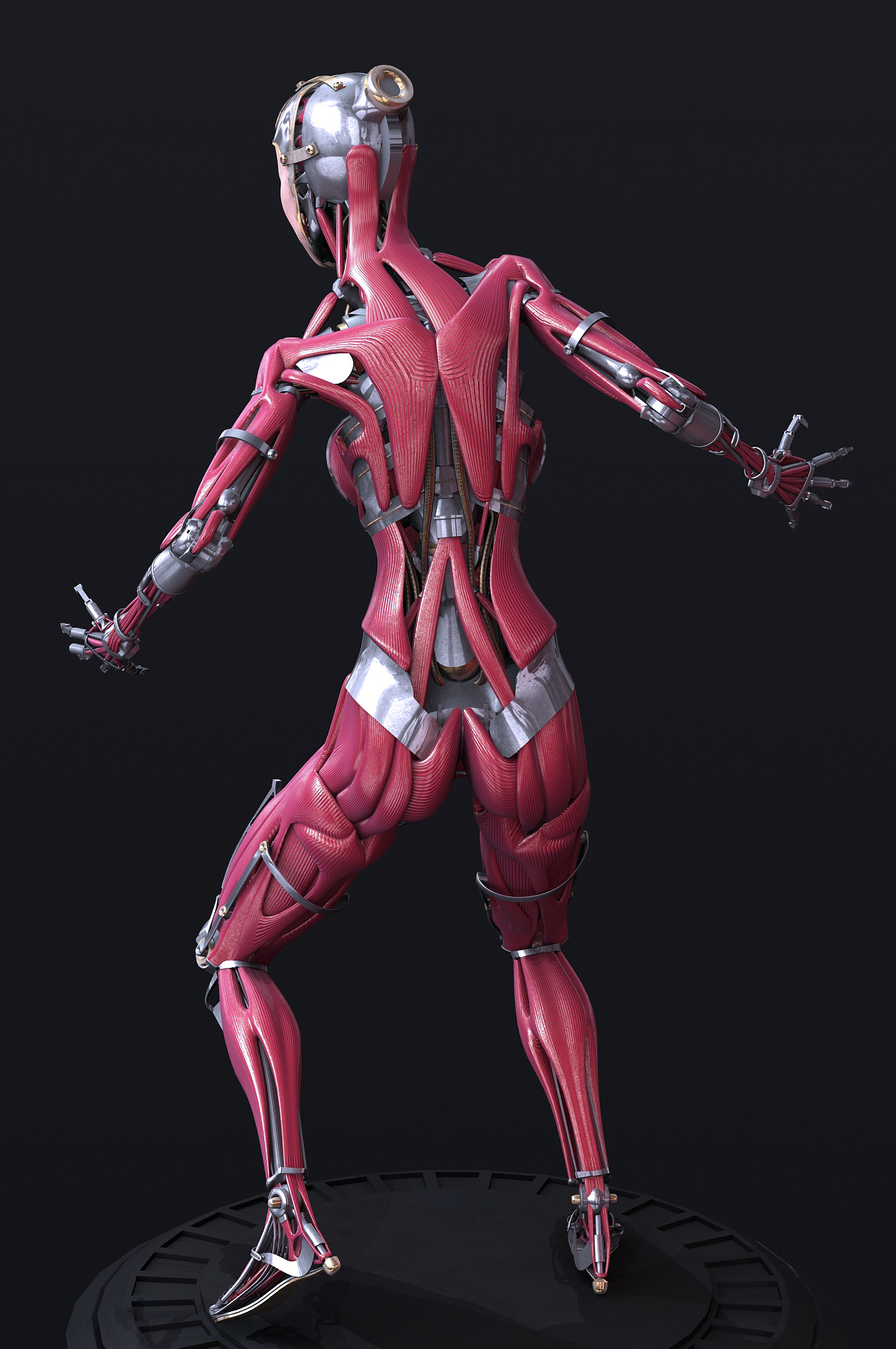 robot anatomical 3d max