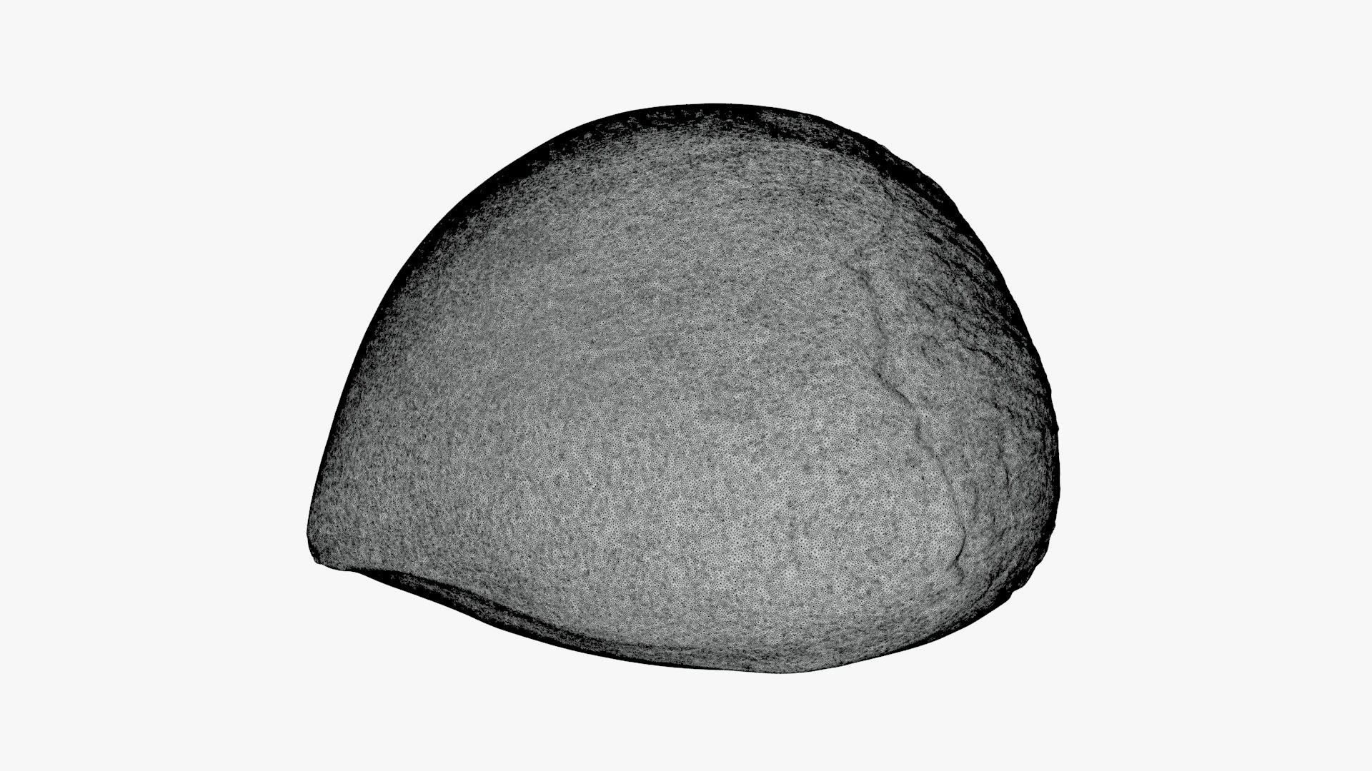 3D Chestnut 02 For 3D Print Model - TurboSquid 2351359