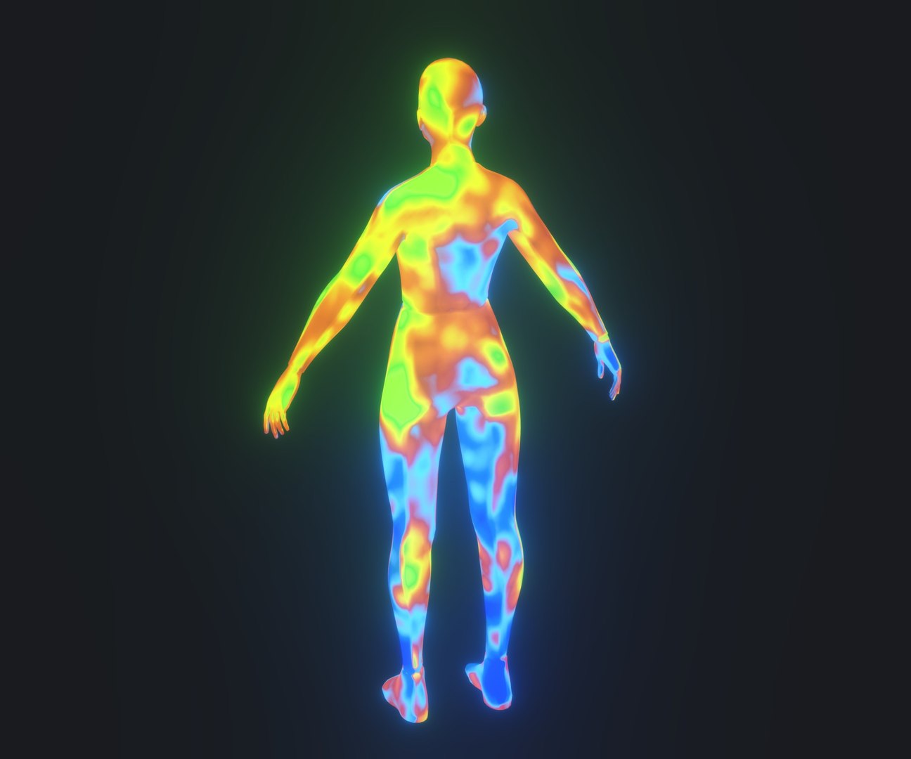 Thermal Image Heatmap Female 3D Model - TurboSquid 1694226