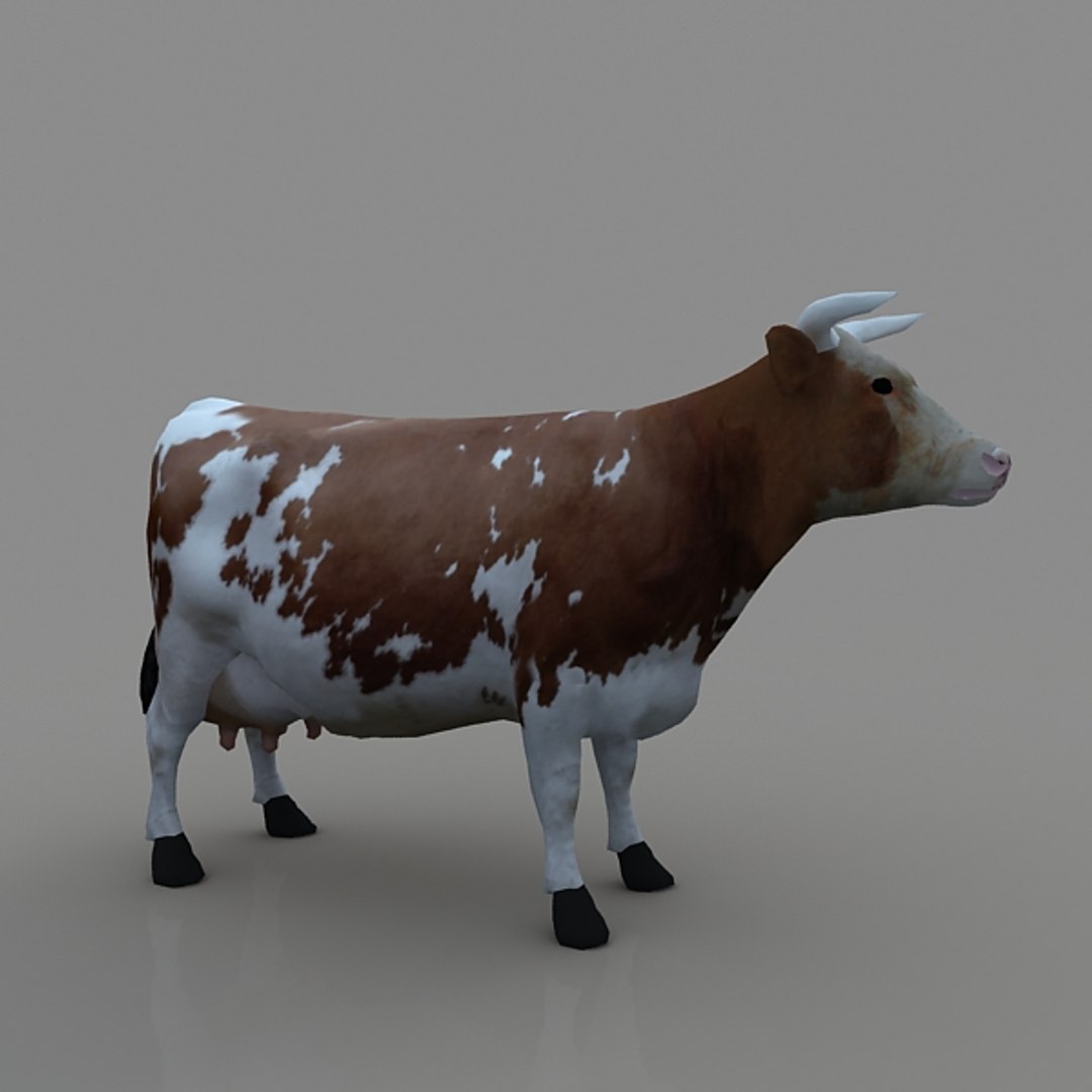 3d model cow