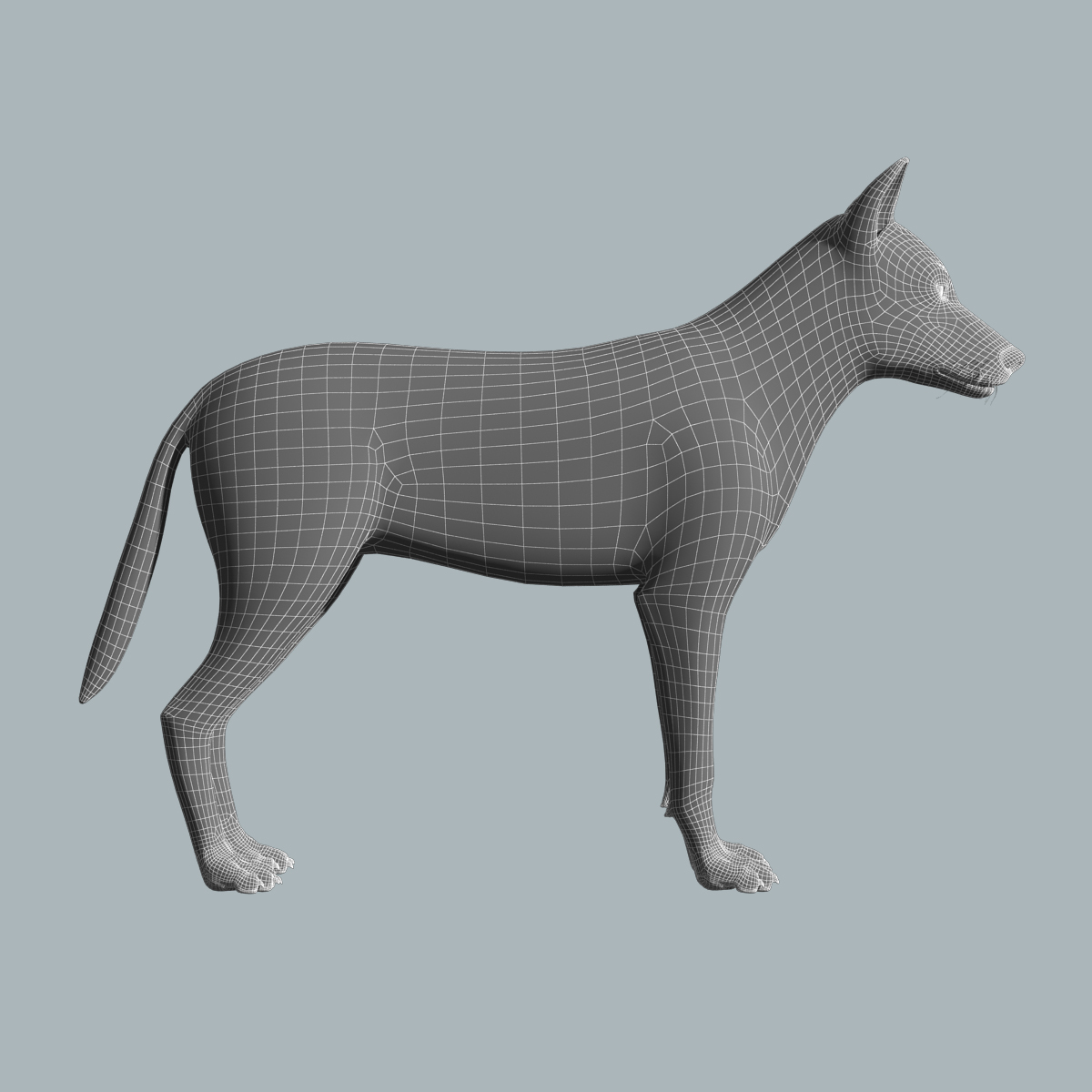 3d gray wolf fur