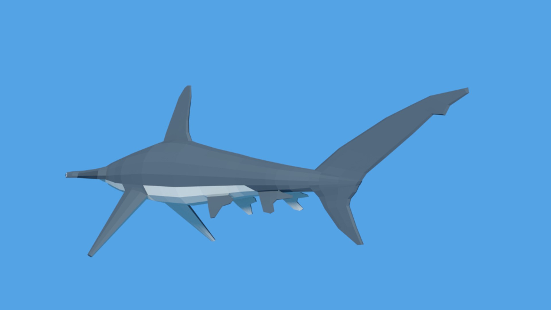 Hammerhead Shark 3D Model - TurboSquid 1458868