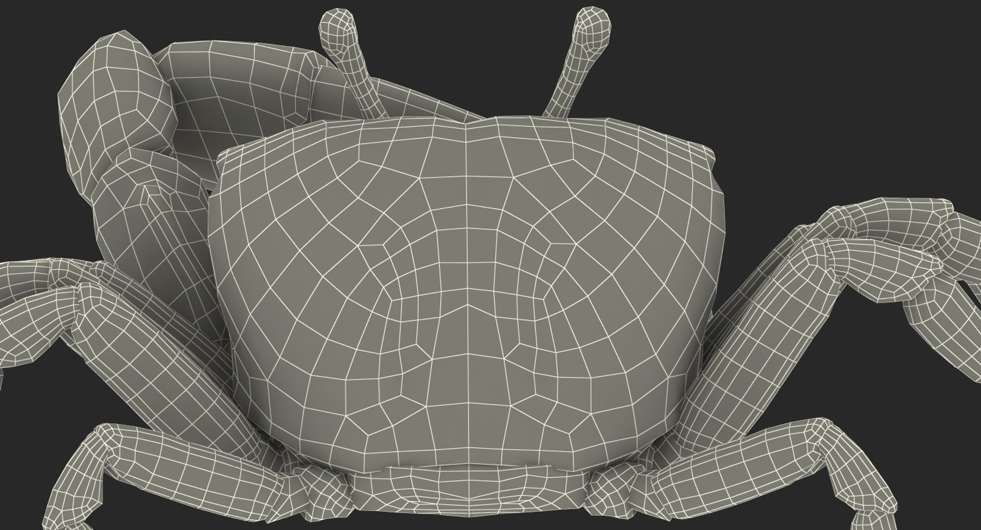 Fiddler crab rigged 3D - TurboSquid 1151084