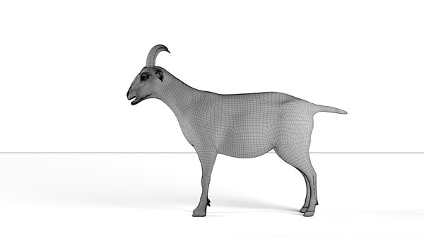 modèle 3D de Chèvre 3D 04 Rigged dans Blender - TurboSquid 2010365