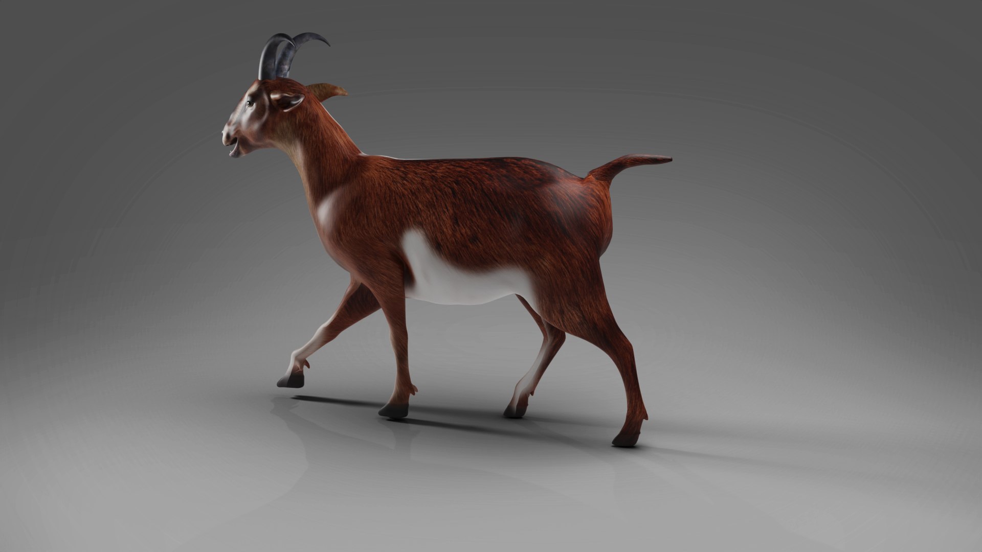 3D Goat 04 Rigged in Blender 3D model - TurboSquid 2010365