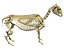 Donkey Skeleton Animal 3d Lwo