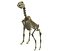 Donkey Skeleton Animal 3d Lwo